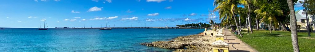 License Renewal - St Croix Board of Realtors